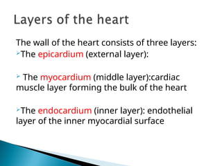 01. Anatomy & Physiology of the Heart.ppt