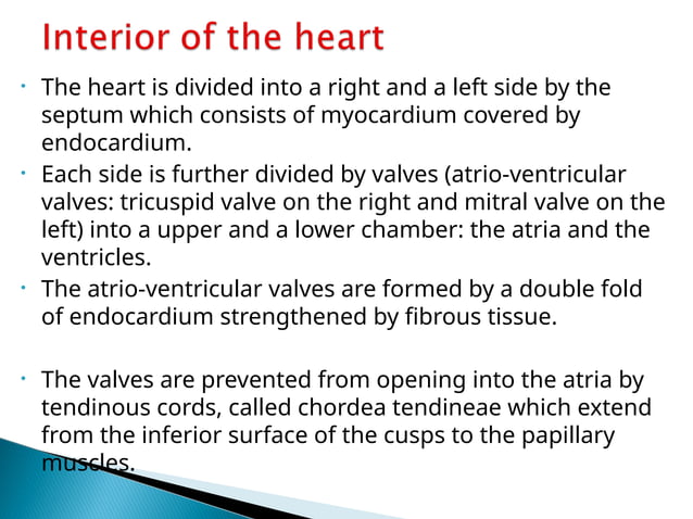 01. Anatomy & Physiology of the Heart.ppt