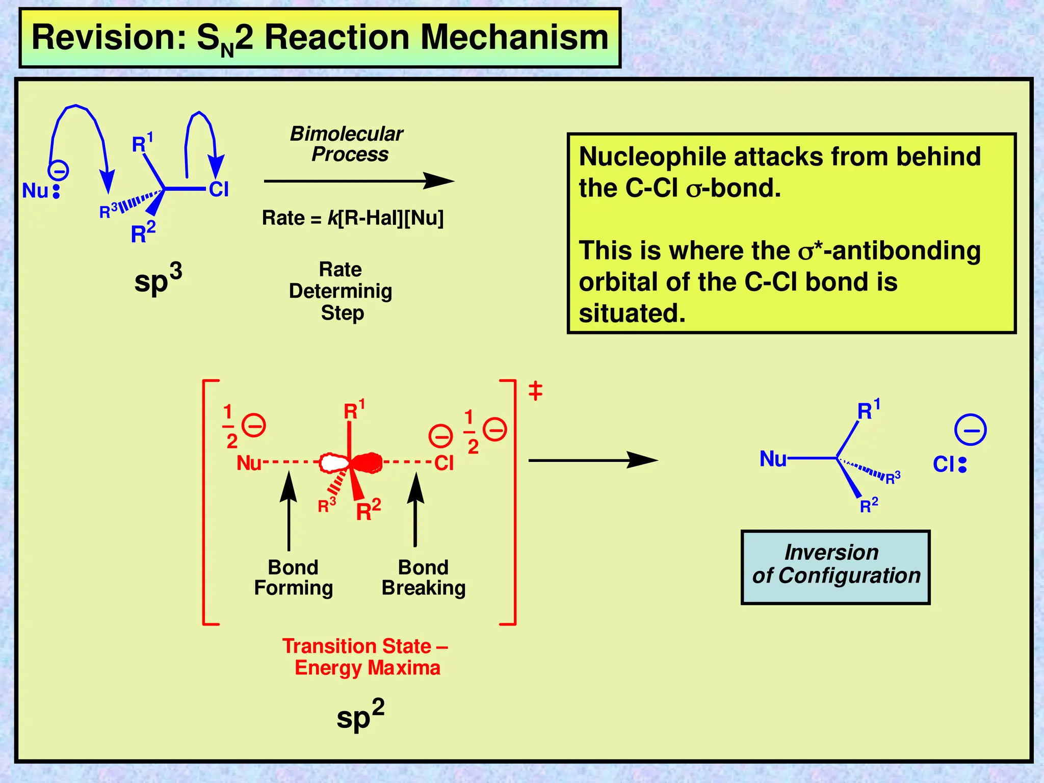 pericycli reactions in organic chemistry graduate courses | PPT