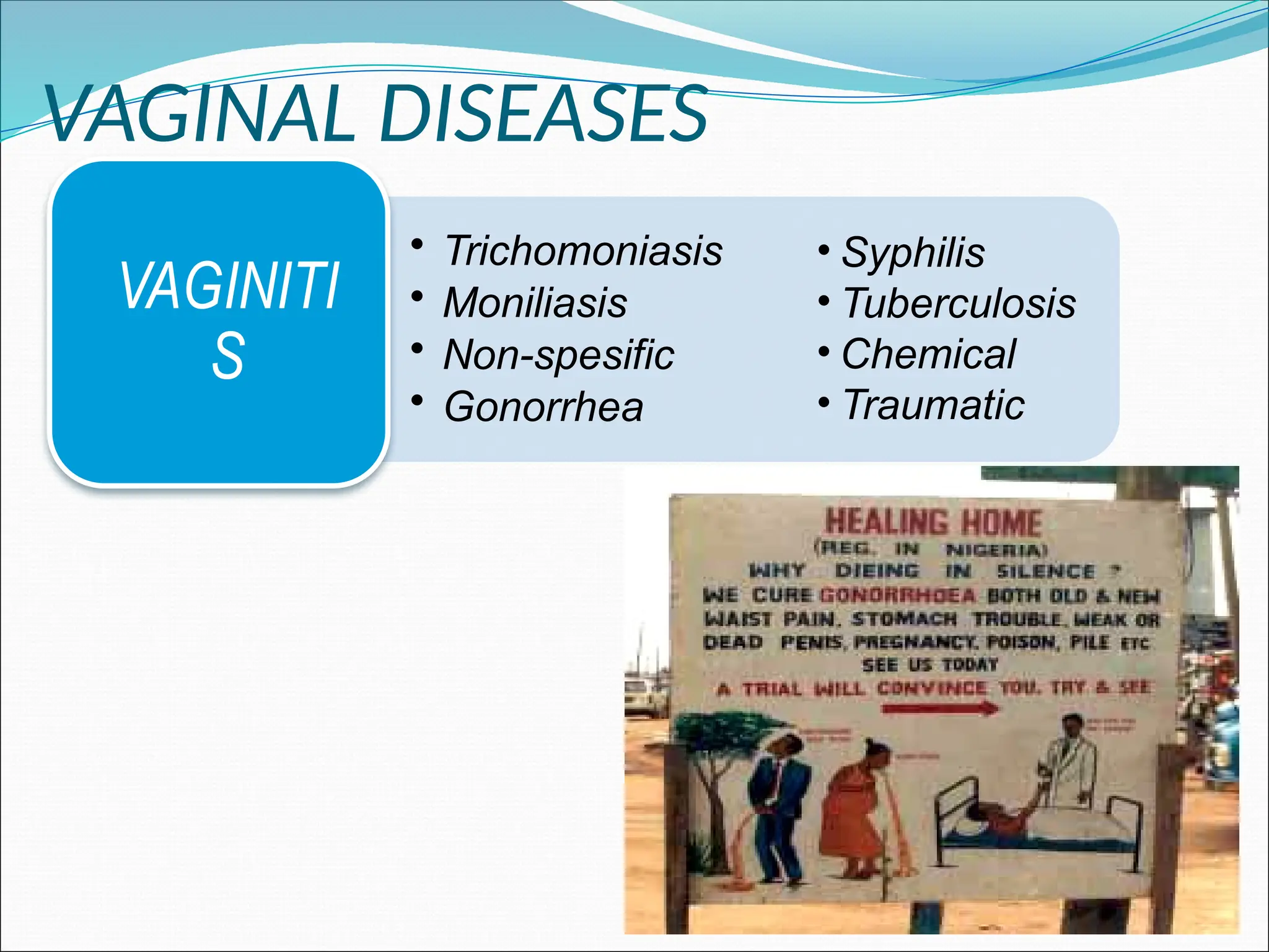 01. Pathology of female external genitalia 1.pptx