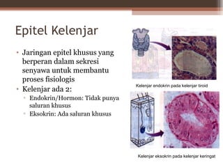 MATERI IPA SMP Jaringan Hewan (epitel dan saraf) | PPT