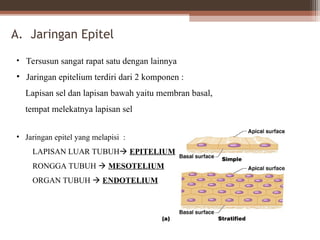 MATERI PEMBELAJARAN Jaringan Hewan (epitel dan saraf) | PPT