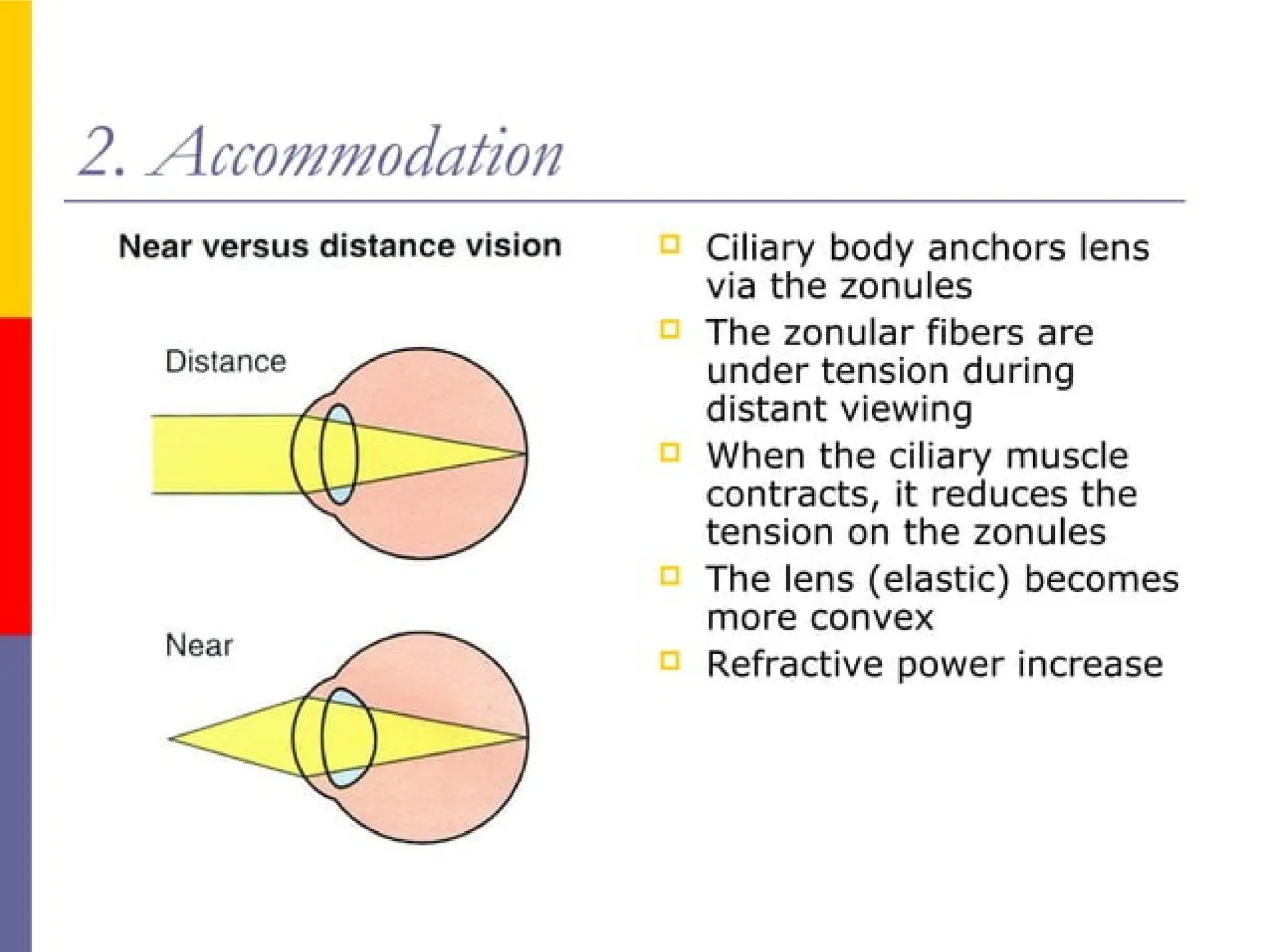 Opthalmology intriduction anatomy general view | PPTX