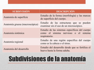 01. Introducción a la anatomía y fisiología humana.ppt