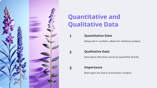 Basics of/Introduction to Econometrics.pptx