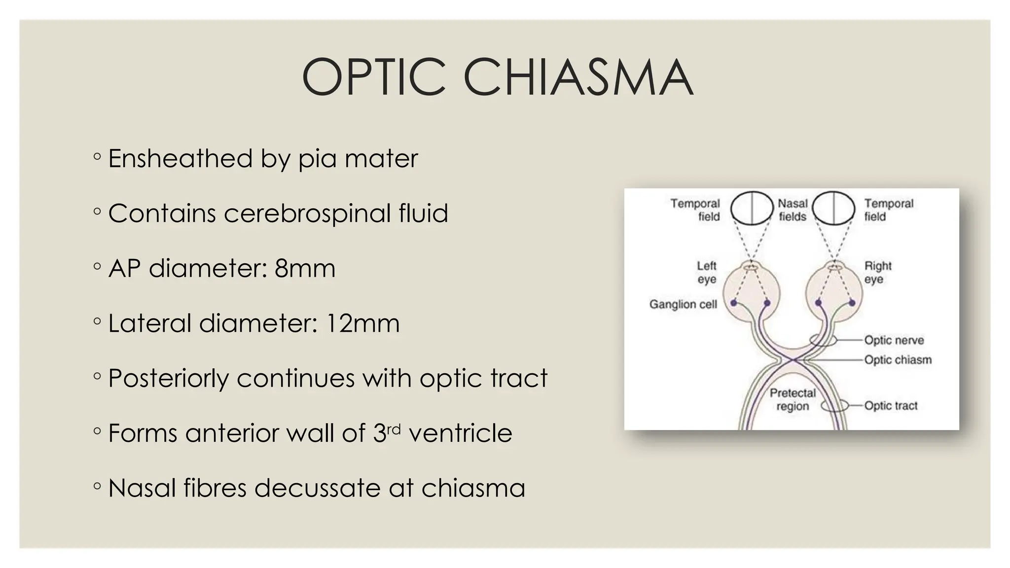 VISUAL PATHWAY and its related pathology | PPTX