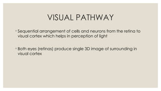 VISUAL PATHWAY and its related pathology | PPTX