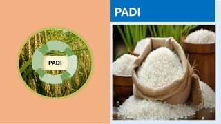 01. Luas Panen, Produksi dan Produktivitas Tanaman Padi di Indonesia ...