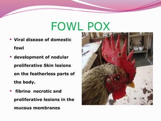 01. Introduction to common diseases iN POULTRY | PPTX
