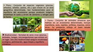 TEMA MEDIO AMBIENTE. CUIDADO DE LA FLORA Y FAUNA.pptx