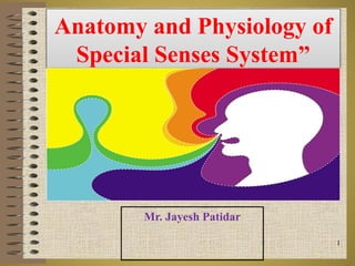 01. anatomy and physiology of special senses | PPTX