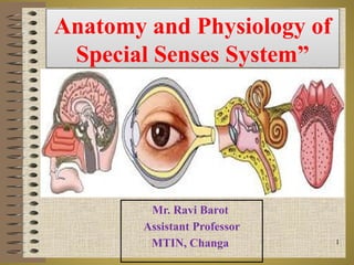 01. Special Senses(Ear) sight hearing test | PPTX