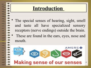 01. Special Senses(Ear) sight hearing test | PPTX