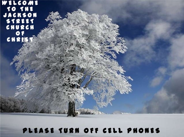 growing like a tree | PPT