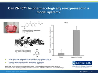 Session 1.5: Belbin | PPT