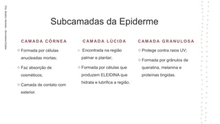 Anatomia e Fisiologia - Pele.pptx