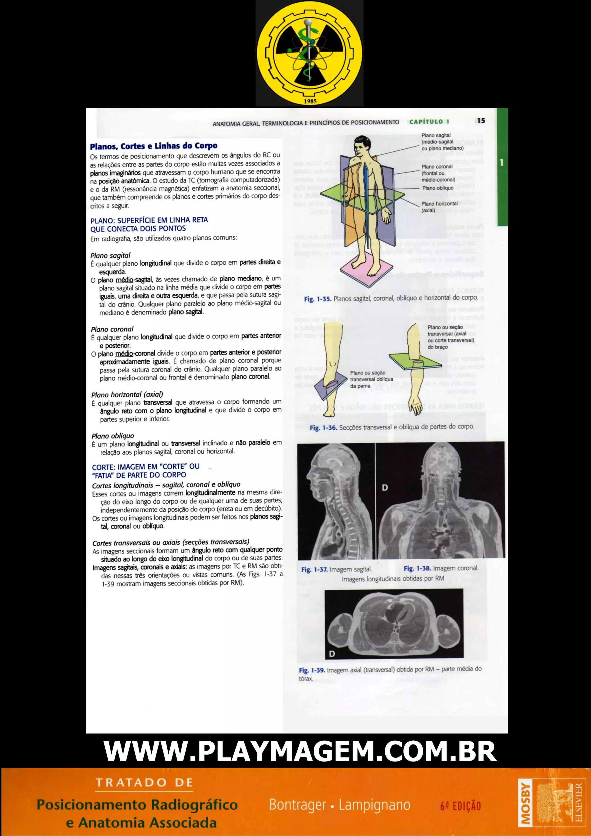 01 anatomia geral terminologias e principios de posicionamento | PDF | Internet | Computing