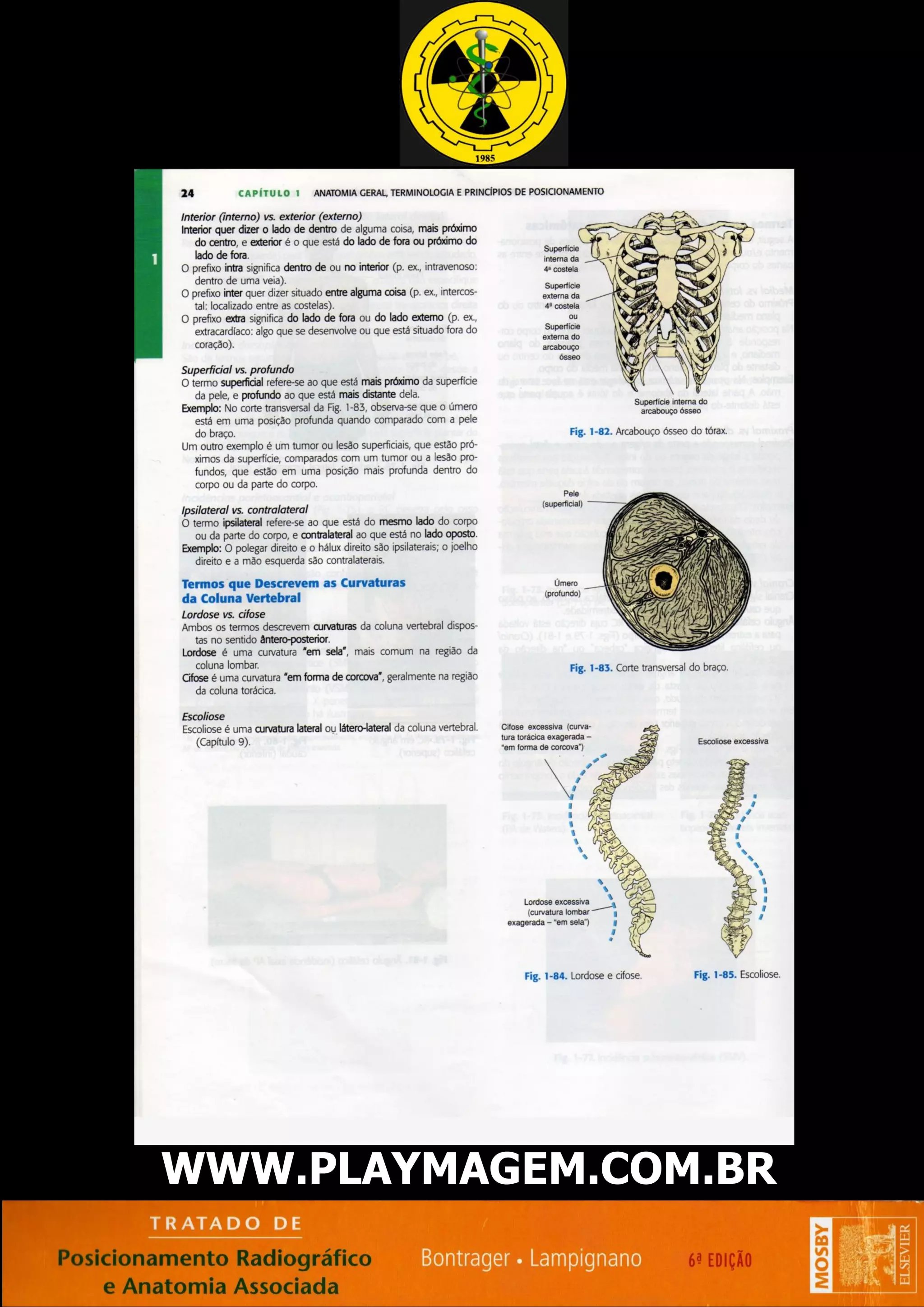 01 anatomia geral terminologias e principios de posicionamento | PDF | Internet | Computing