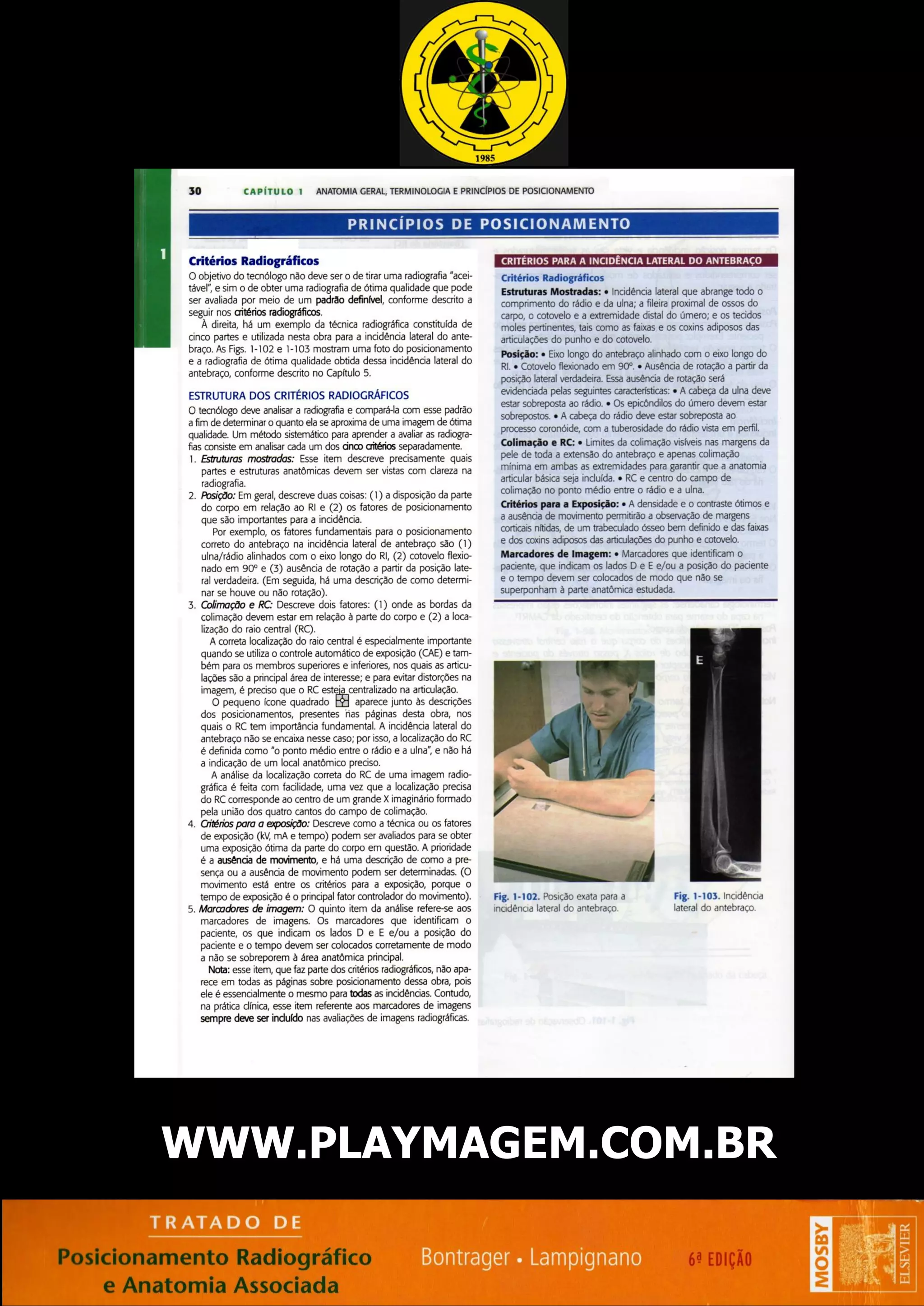 01 anatomia geral terminologias e principios de posicionamento | PDF | Internet | Computing