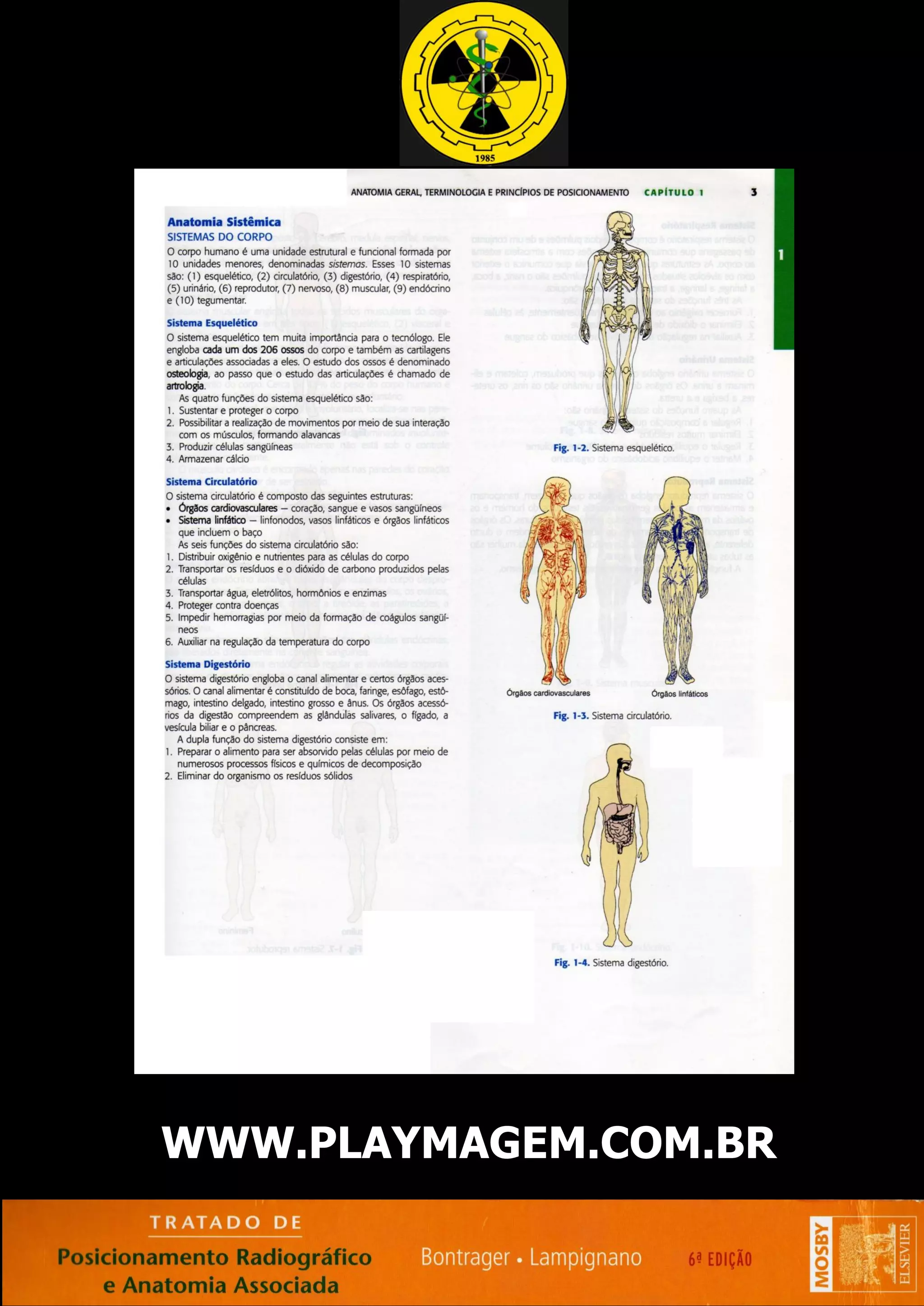 01 anatomia geral terminologias e principios de posicionamento | PDF | Internet | Computing