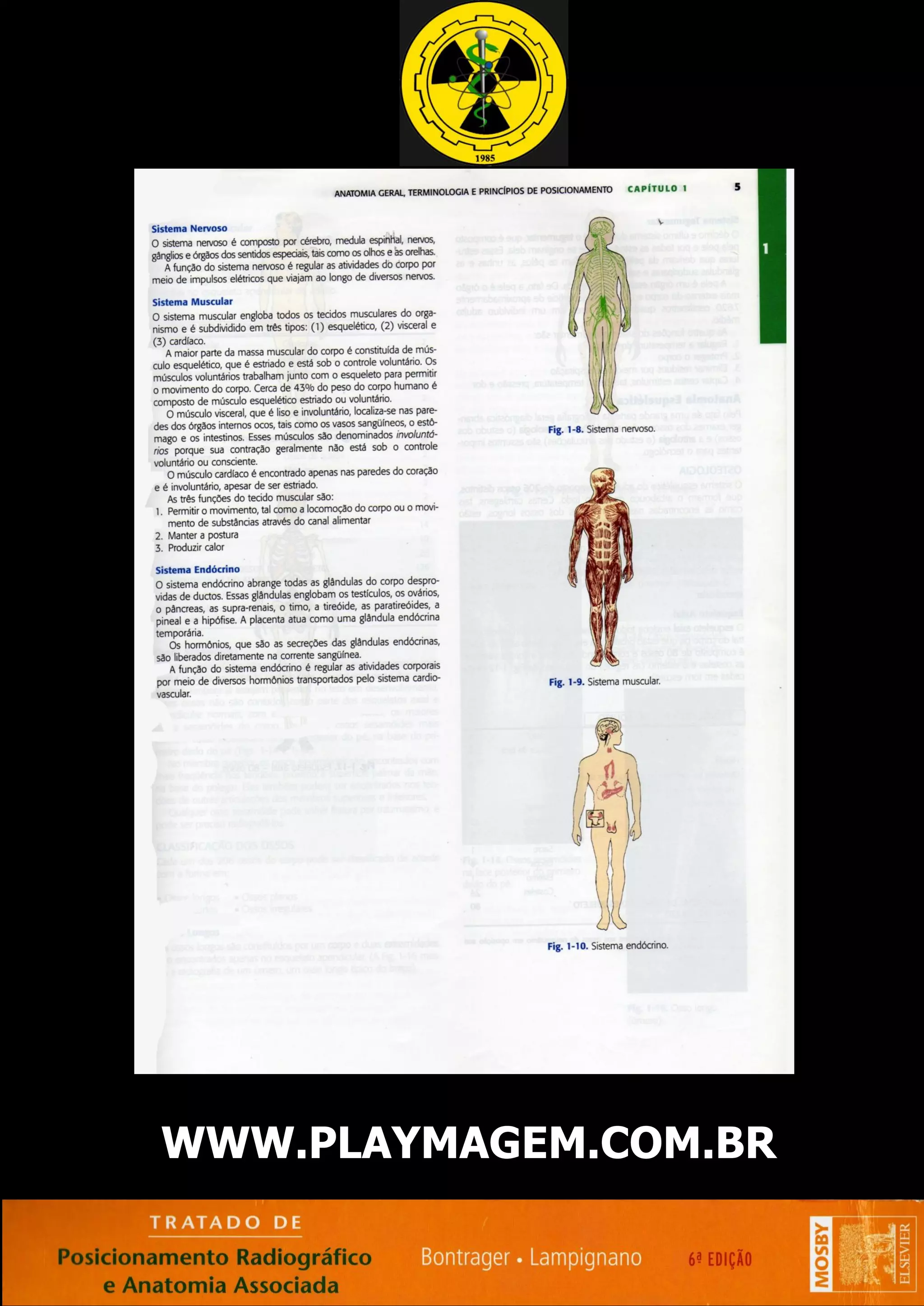01 anatomia geral terminologias e principios de posicionamento | PDF | Internet | Computing