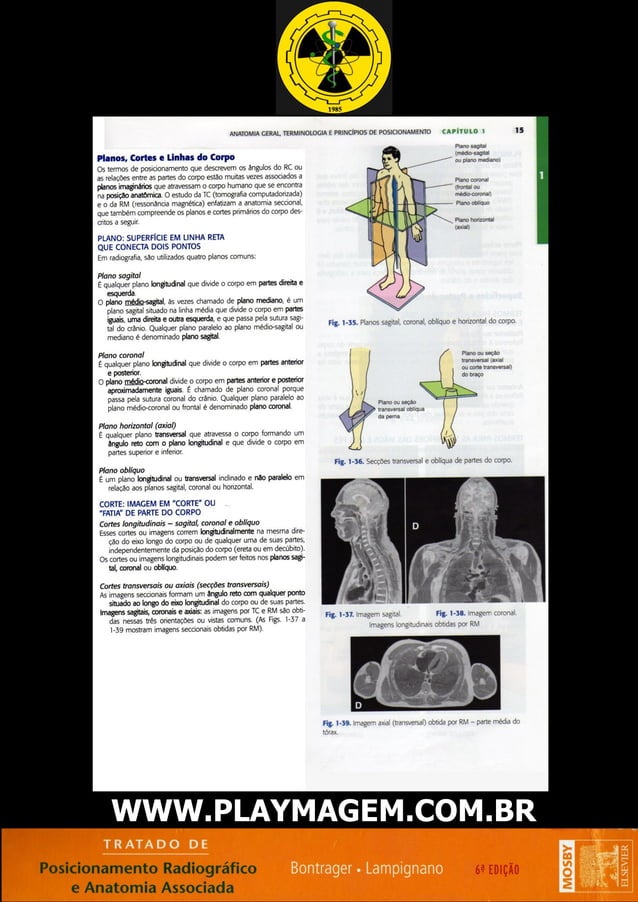 01 anatomia geral terminologias e principios de posicionamento | PDF | Internet | Computing