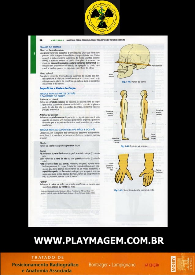 01 anatomia geral terminologias e principios de posicionamento | PDF | Internet | Computing