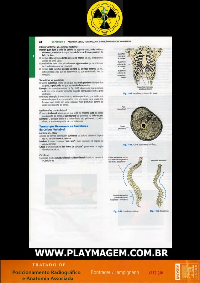 01 anatomia geral terminologias e principios de posicionamento | PDF | Internet | Computing