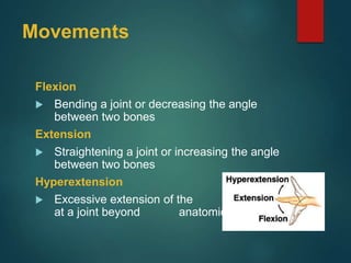 01-Anatomical Positions 2017.ppt