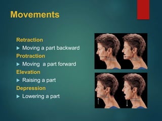 01-Anatomical Positions 2017.ppt