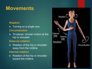 01-Anatomical Positions 2017.ppt
