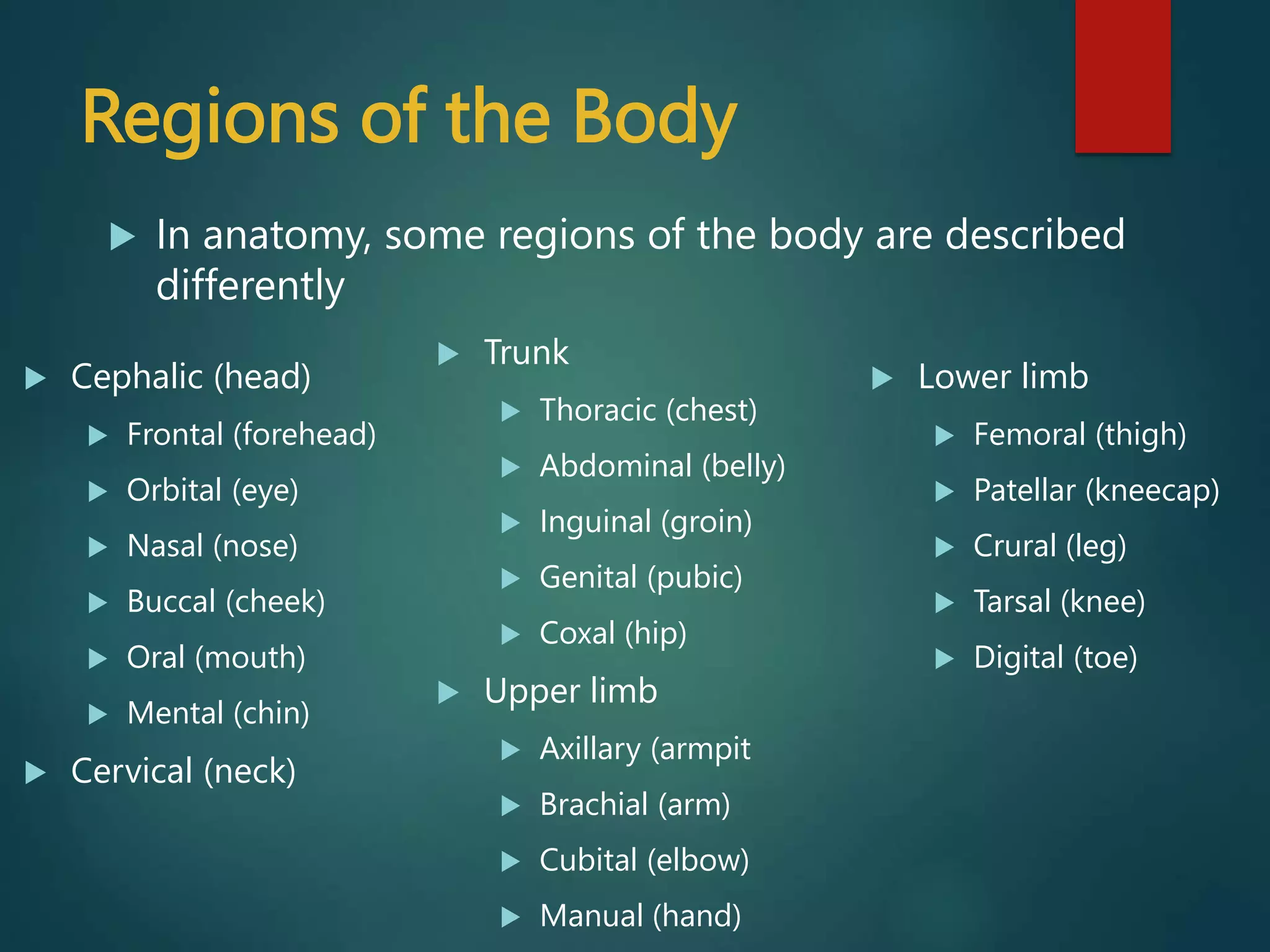 01-Anatomical Positions 2017.ppt