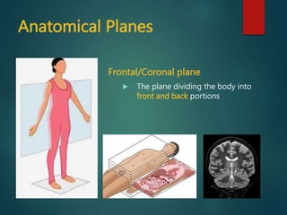 01-Anatomical Positions 2017.ppt