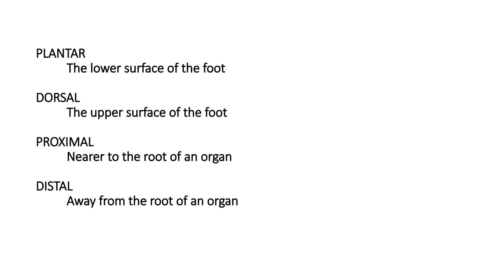 Anatomy lacture about introduction of anatomy and there branches | PPTX