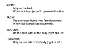 Anatomy lacture about introduction of anatomy and there branches | PPTX