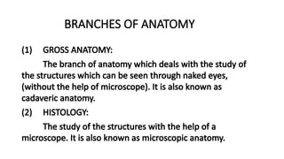 Anatomy lacture about introduction of anatomy and there branches | PPTX