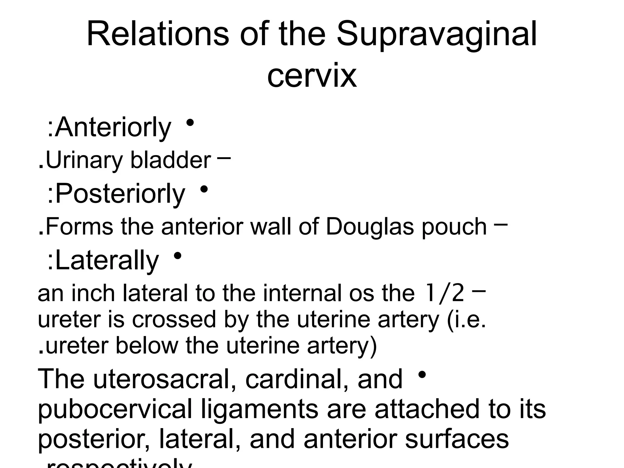01-Anatomy-Of-Female-Genital-System-Dr.Osman.pptx