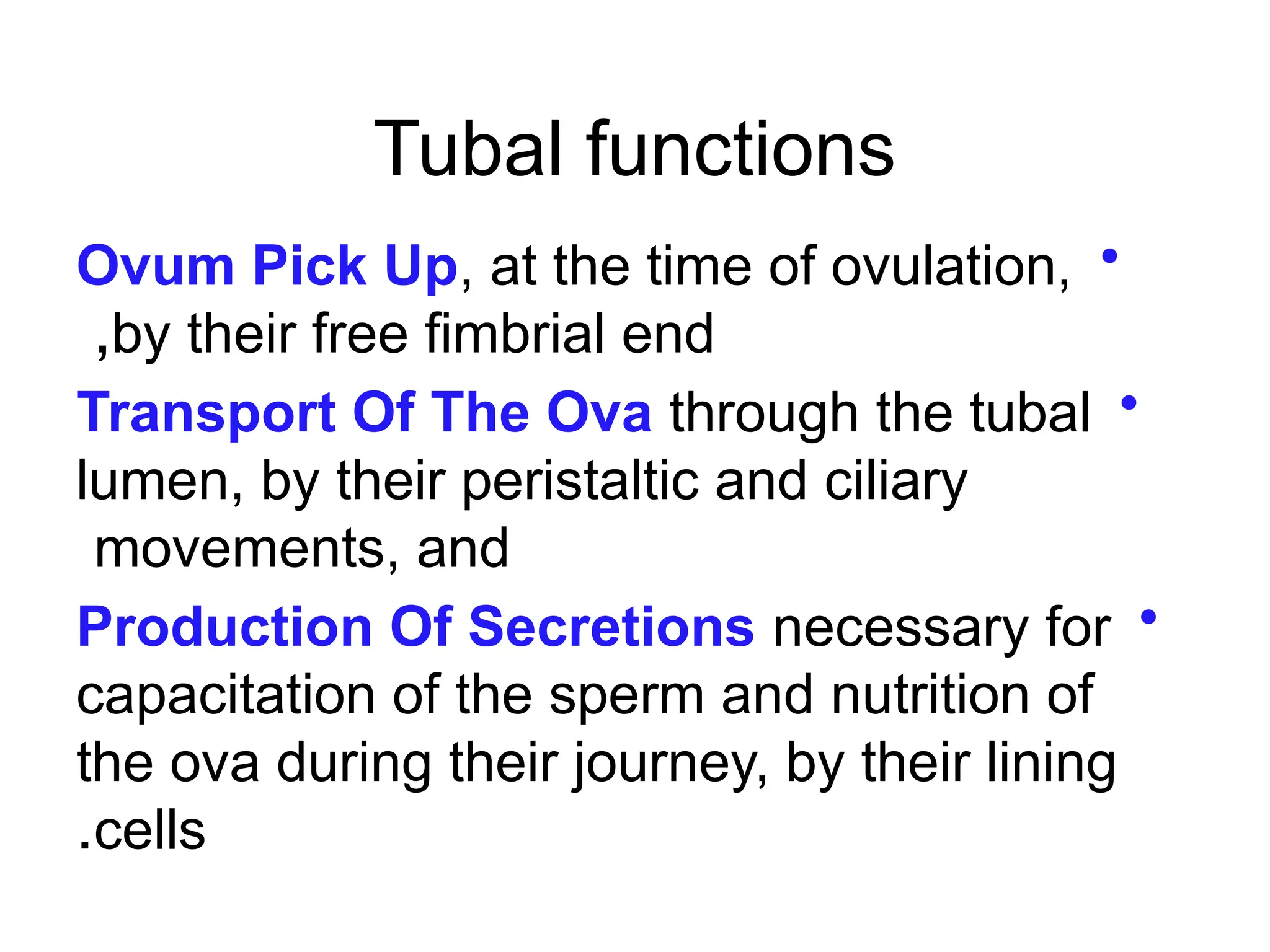 01-Anatomy-Of-Female-Genital-System-Dr.Osman.pptx