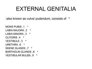 01-Anatomy-Of-Female-Genital-System-Dr.Osman.pptx