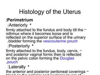 01-Anatomy-Of-Female-Genital-System-Dr.Osman.pptx