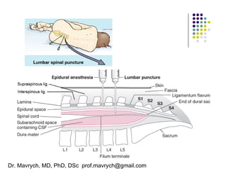 01-Anatomy-Shelf-Notes-1.pdf