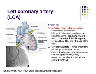 01-Anatomy-Shelf-Notes-1.pdf