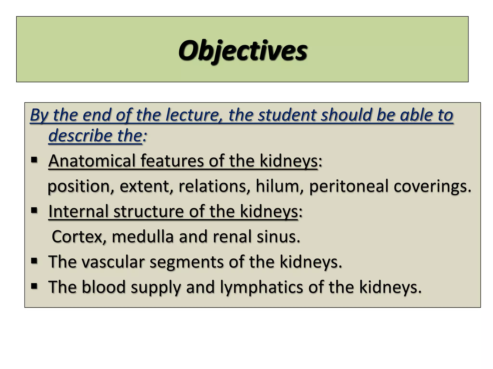 01-Anatomy of Kidney.ppt