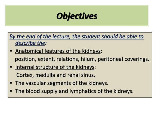 01-Anatomy of Kidney.ppt