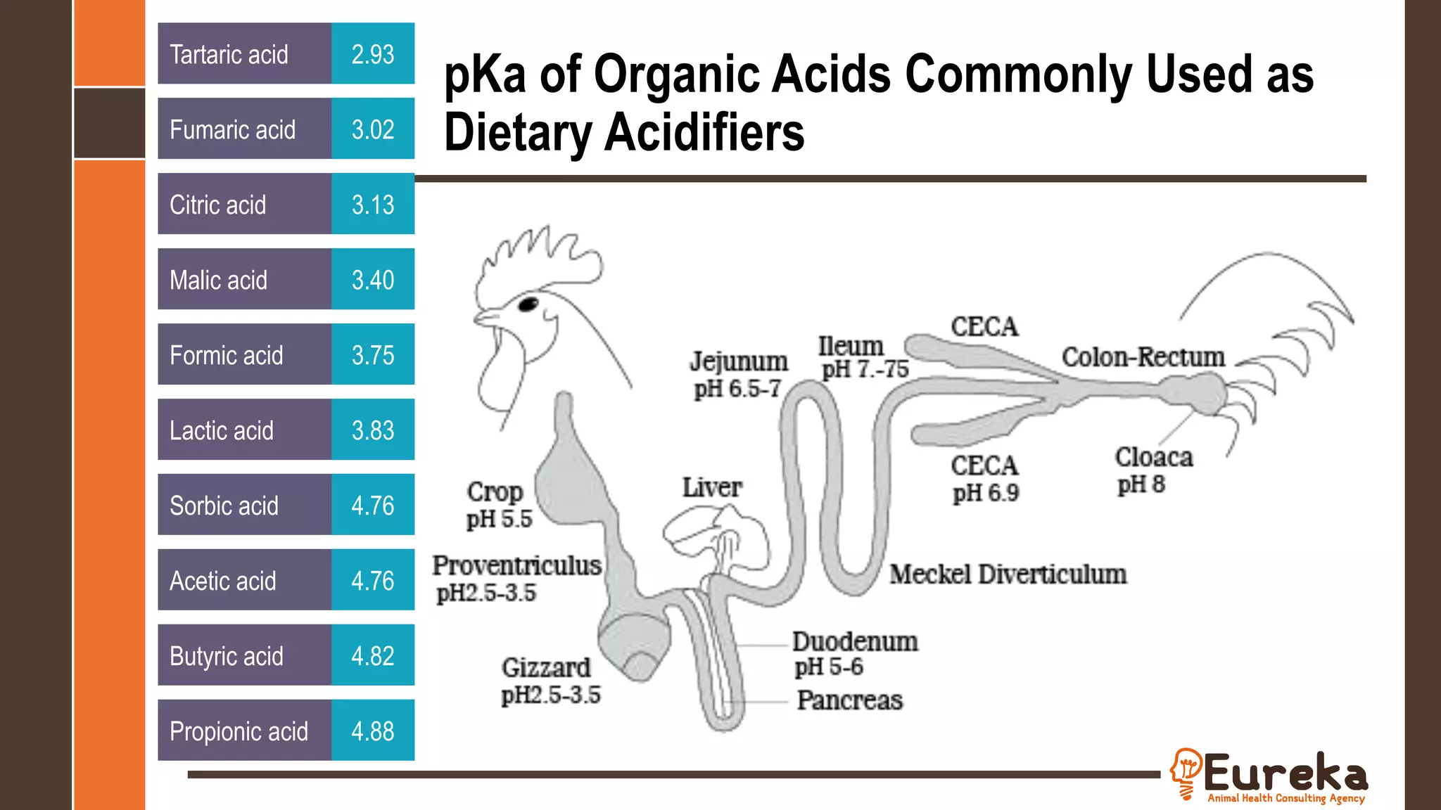 Application of Organic Acid in Poultry | PPTX