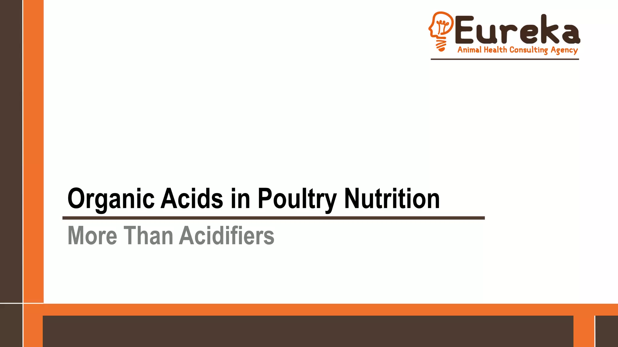 Application of organic acid in poultry | PPT