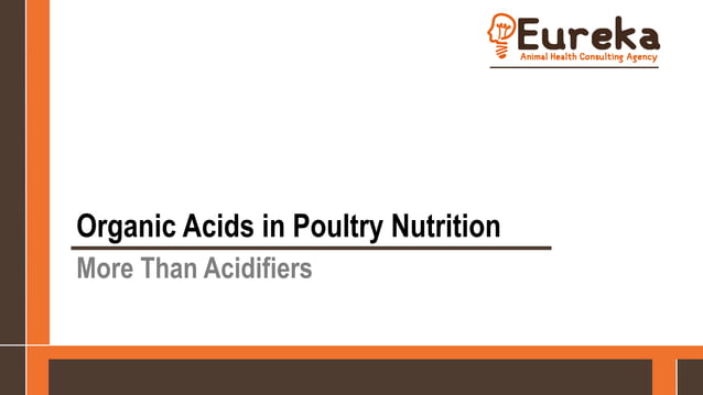 Application of organic acid in poultry | PPT