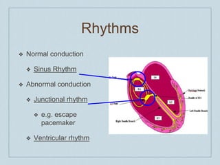 01-BasicCardiology.ppt