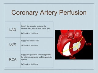 01-BasicCardiology.ppt