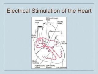 01-BasicCardiology.ppt